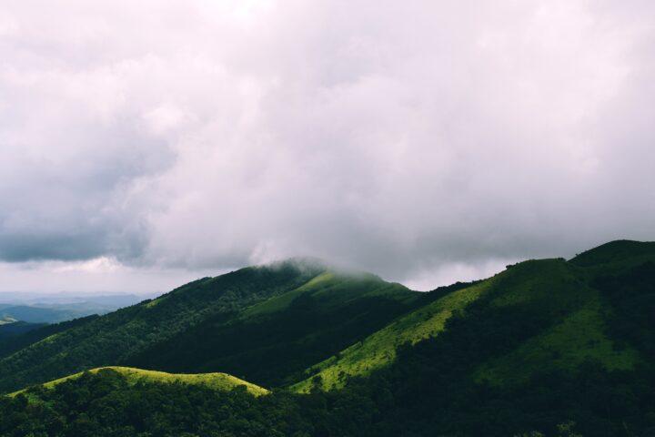 Kodachadri Unveiled: Trekking Through the Lush Western Ghats
